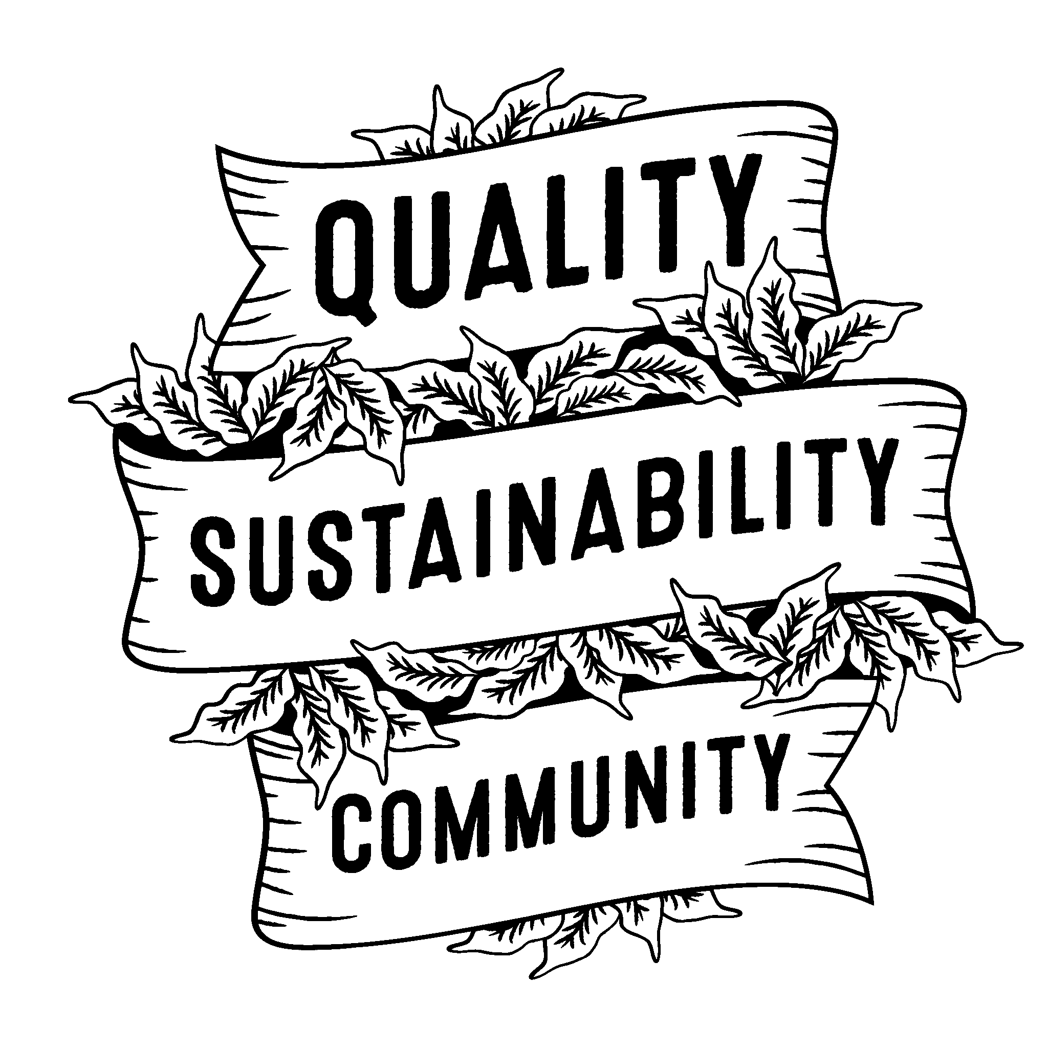 Project Origin – Specialty green coffee beans in Australia and worldwide.